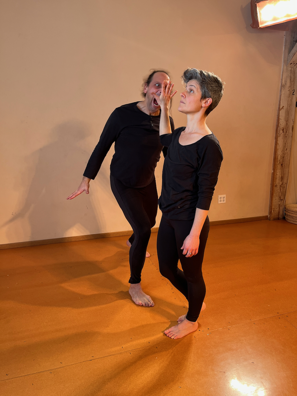 Contact – Portland Action Theater